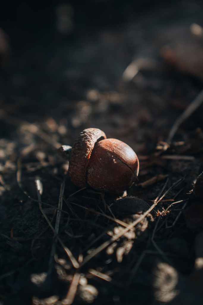 Seeds – To Encourage You